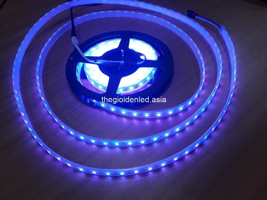 ĐÈN LED DÂY GIÁ RẺ, CHÍNH HÃNG TỐT TẠI HỒ CHÍ MINH